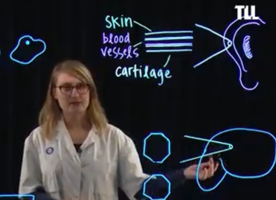 Teaching & Learning Lab | Making knowledge clips during course ...